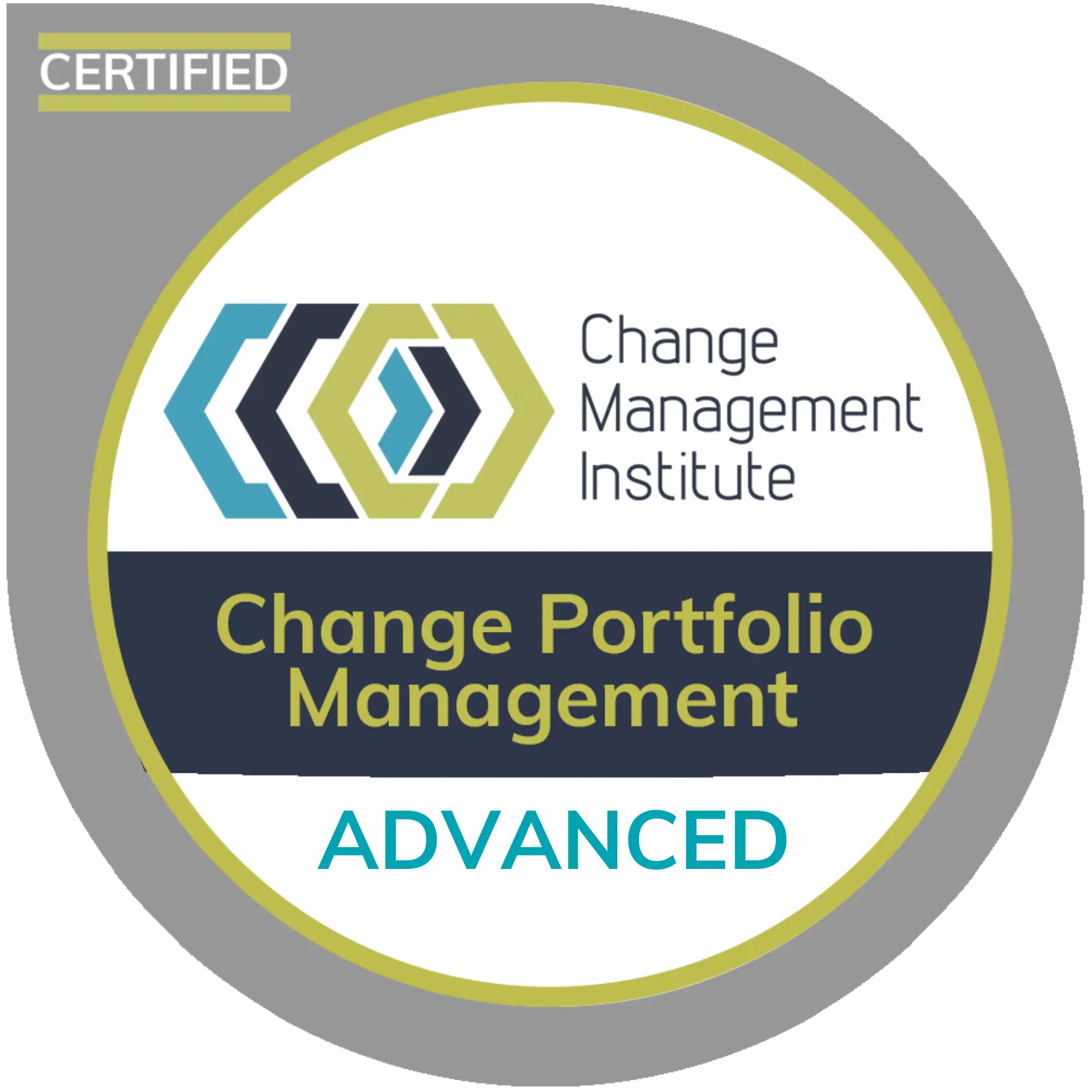 Change Portfolio Management Advanced training - August | Change ...